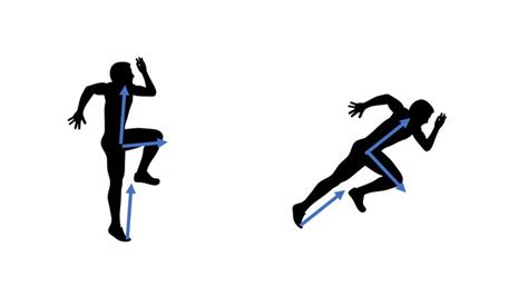 Why The Force Vector Theory Is Inadequate As A Basis For Exercise Selection