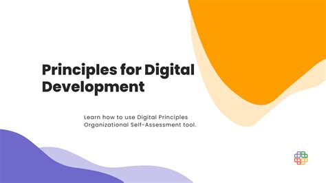 Principles For Digital Development Soldevelo Foundation