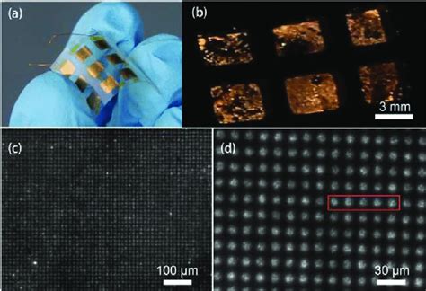2 High Resolution Visual Pressure Strain Sensing System Based On The Download Scientific