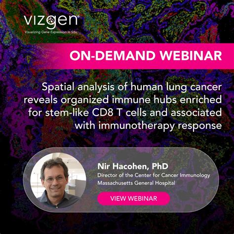 Vizgen On Linkedin Spatial Analysis Of Human Lung Cancer Reveals Organized Immune Hubs