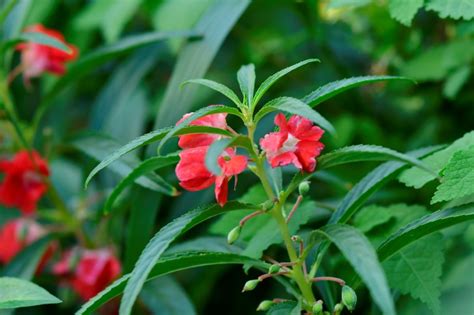 8월 마지막 주일 예배 대표기도문