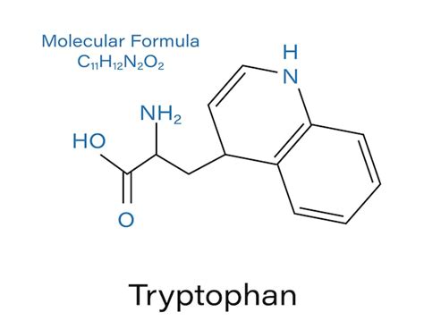 Tryptophan Structure Tryptophan Formula Tryptophan Or L Tryptophan