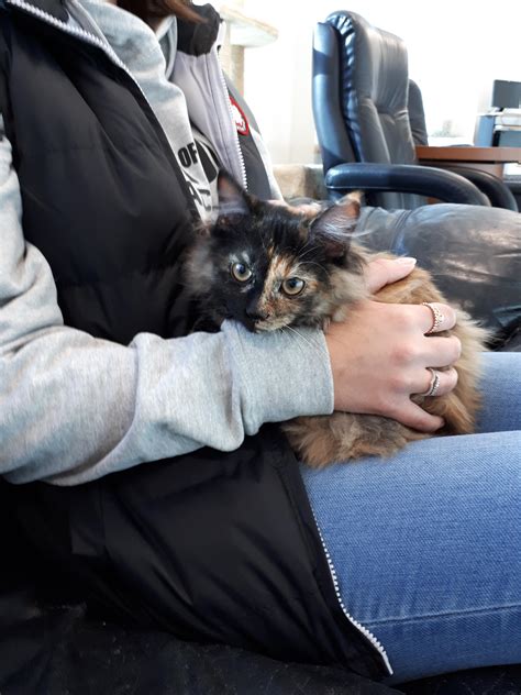 Reddit Meet Lilo Today She Found Her Forever Home R Aww