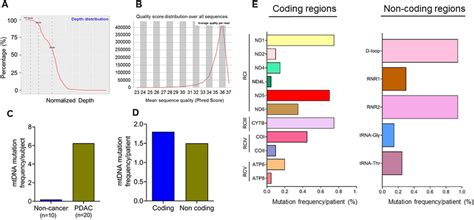 Mutation Analysis Of Mitochondrial Dna A Depth Of Mtdna Sequencing Download Scientific