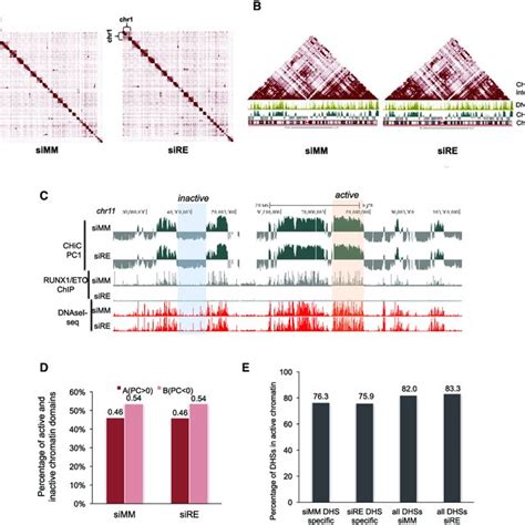 RUNX ETO And The Genome Organization In T AML A Contact Matrix Download Scientific