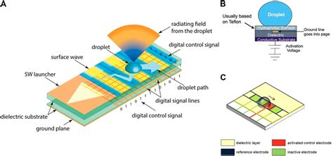 Frontiers Bruce Lee Inspired Fluid Antenna System Six Research Topics And The Potentials For 6g