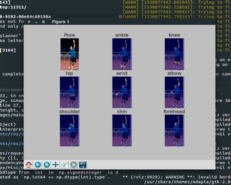GitHub BluewhaleRobot Body Pose Human Pose Estimation With TensorFlow Framework
