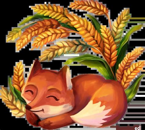 Магазин фірмового мерчу компанії Foxminded