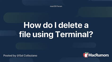 How Do I Delete A File Using Terminal Macrumors Forums