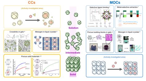 Schematic Representation Of The Spatial Distributions Of Ccs And Mocs