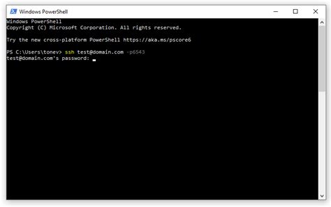 What Is WP CLI A Beginner S Guide ScalaHosting Blog