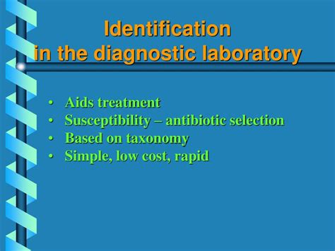 Ppt Chapter9 Microbial Taxonomy Powerpoint Presentation Free Download Id 541682