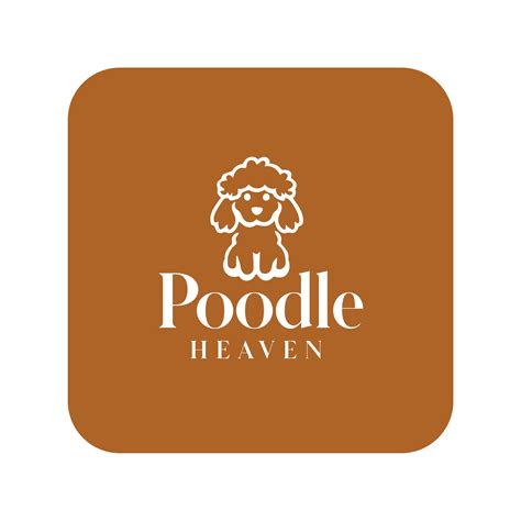 Brown Poodle Info Genetics Temperament Lifespan And Price