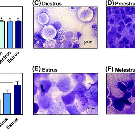 Impact Of Sexual Dimorphism On Body Mass A And Analysis Of The Download Scientific Diagram