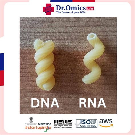 dromics labs private limited on linkedin bioinformatics ngs dna