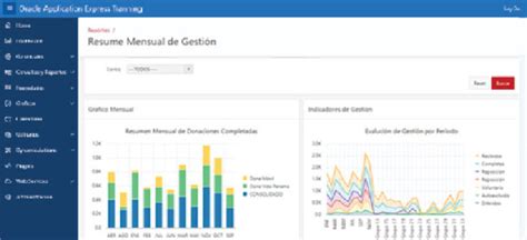 Oracle Application Express Nivel Avanzado Diseño Web Desarrollo