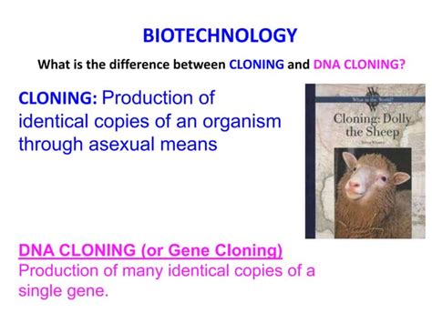 Practice Exam 4 Pptx