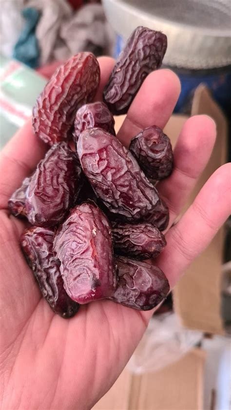 Small Semi Dry Dates 1 Kg At ₹ 450 Kg In Jaipur Id 24923619162
