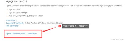 mysql8 1 0的安装与配置（最详细） mysql8 0 32安装教程 csdn博客