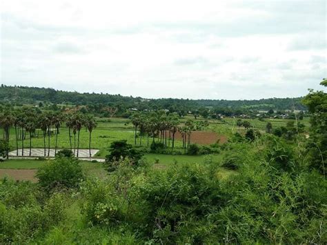 Dvb ပေါက်မြို့နယ် စစ်ရှောင်ပြည်သူများ၏ ရိက္ခာနှင့်ဆိုင်ကယ်များကို စစ်တပ်က အဓမ္မယူဆောင်