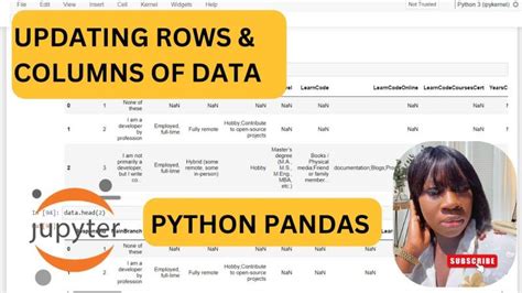 python pandas tutorial updating rows and columns values favour olaitan