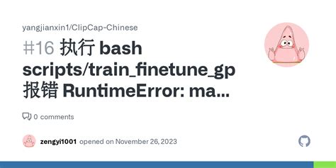 执行 bash scripts train finetune gpt2 sh 报错 runtimeerror mat1 dim 1 must