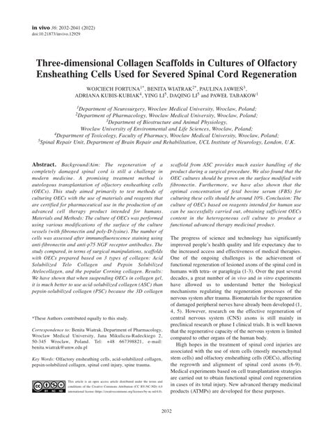 Pdf Three Dimensional Collagen Scaffolds In Cultures Of Olfactory Ensheathing Cells Used For