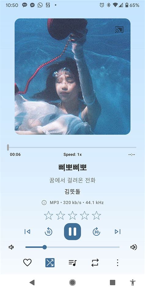 Song Duration Isn T Displayed While Using Chromecast Support Symfonium Support