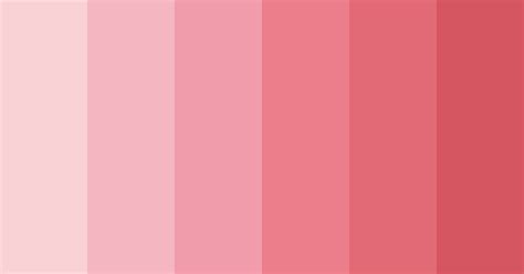 Blush Pink Shades Color Palette Colordrop