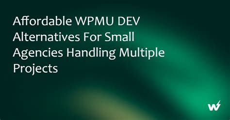 affordable wpmu dev alternatives for small agencies handling multiple