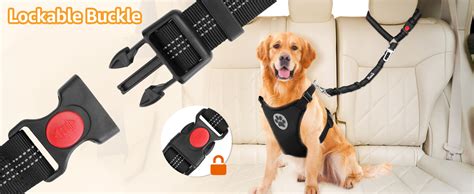 Amazon.com : SlowTon Dog Seat Belt for Car, 2 Pack Dog Car Harness ...