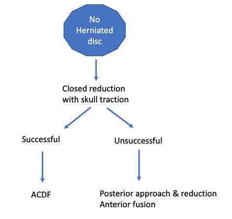 Facet Joint Dislocation The Bone School