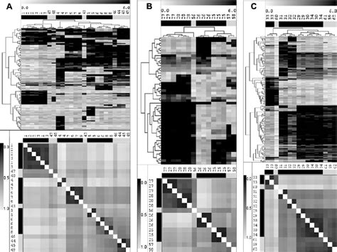 hierarchical clustering and genetic distances within 3 bacillus species