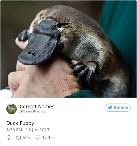 This Twitter Account Renames Everyday Objects With Hilarious Results