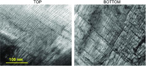 Cross Section Tem Micrographs Of The Top And Bottom Sides Of