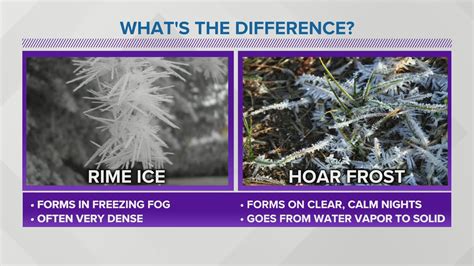 WEATHER LAB What S The Difference Between Rime Ice And Hoar Frost Weareiowa Com