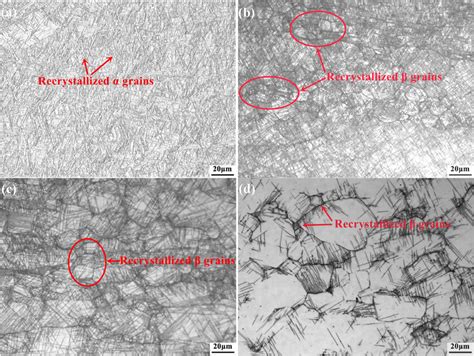 microstructures after deformation at the same strain rate of 0 1 s⁻¹