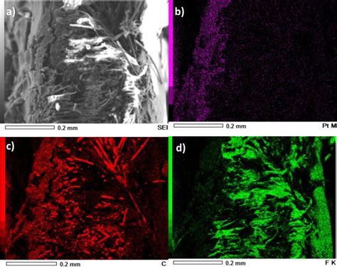Sem Mapping Of A Cross‐section Cathode With Gdl‐4 This Figure Shows A Download Scientific