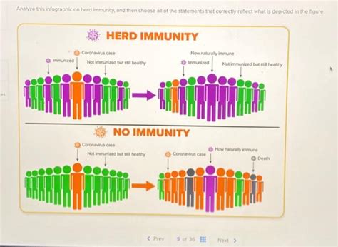 Solved Analyze This Infographic On Herd Immunity And Then