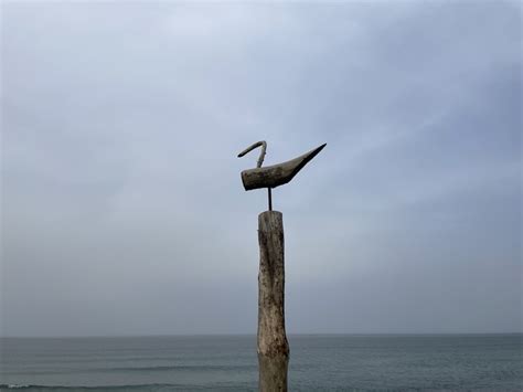 이 사람을 보라 시인 박희진 02 출처 227 Ecce Homo 이 사람을 보라 시인 박희진 02작성자 심원지자편