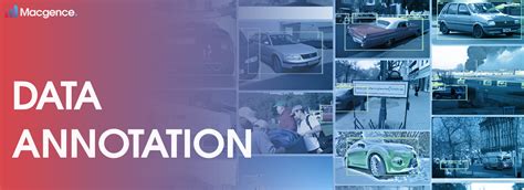 Data Annotation Definition Types Benefits And Use Cases