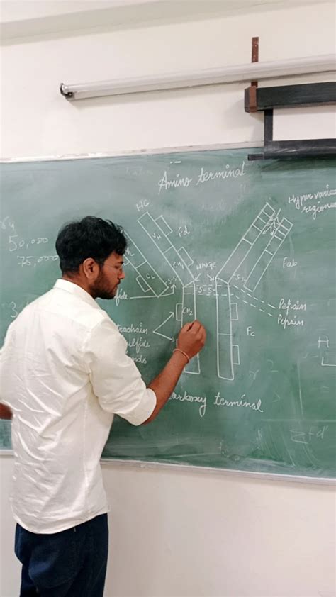 Mohammad Ayan Sheikh On Linkedin Teaching About Antibodies