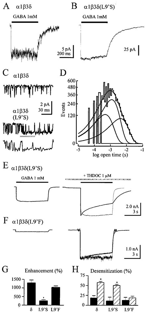 13 L9s Gaba A Receptors Exhibited Increased Gating Efficacy A B