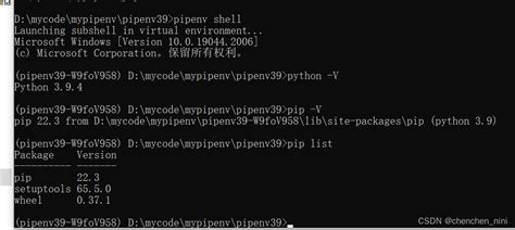 pipenv使用 warning python 3 9 was not found on your system csdn博客