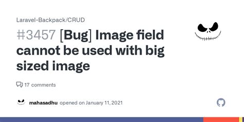 Bug Image Field Cannot Be Used With Big Sized Image · Issue 3457