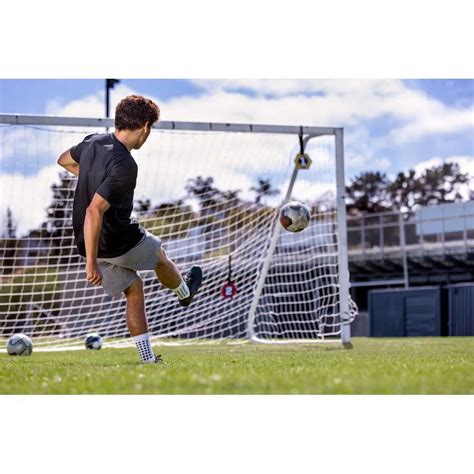 Sklz Reactive Agility Targets Multicolor Goalinn