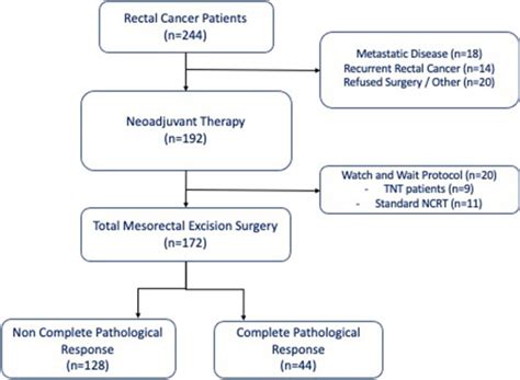 Total Neoadjuvant Therapy Is A Predictor For Complete Pathological