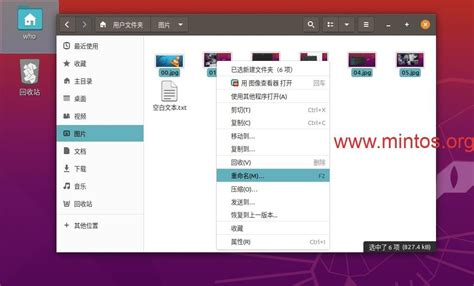 隐藏大招：ubuntu自带文件管理器批量修改文件名 薄荷开源网