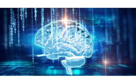 Data Science Applied To Neuroscience 2023 Neuromarseille