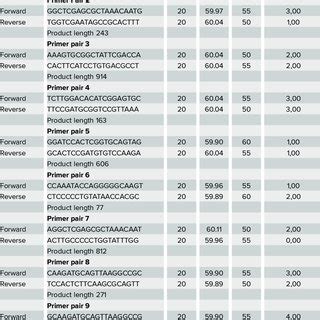Dimer Structure For Primer Download Scientific Diagram